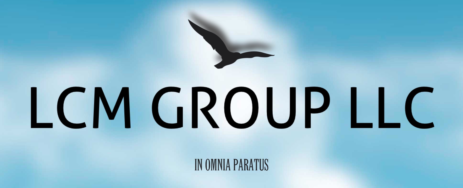 LCMGROUPLLC – LCMGROUPLLC